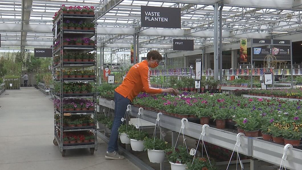 Tuincentra zitten met tekort aan planten - TV Limburg