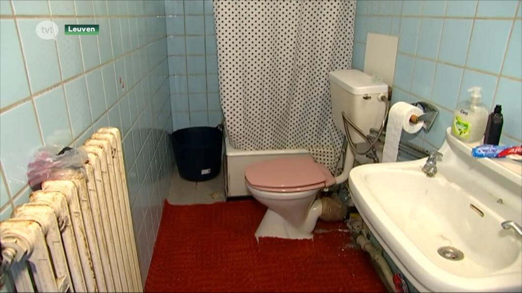 40 maanden cel en miljoenenboete voor vader en zoon Appeltans voor ...