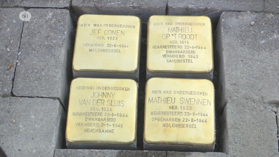 Struikelstenen herdenken razzia van Molenbeersel, 80 jaar geleden - TV ...