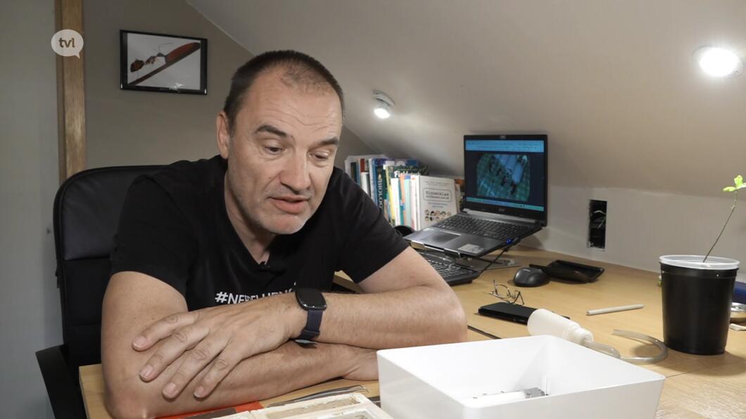 Mierenkweker Peter Berx uit Alken: 'Het zijn fascinerende dieren' - TV ...