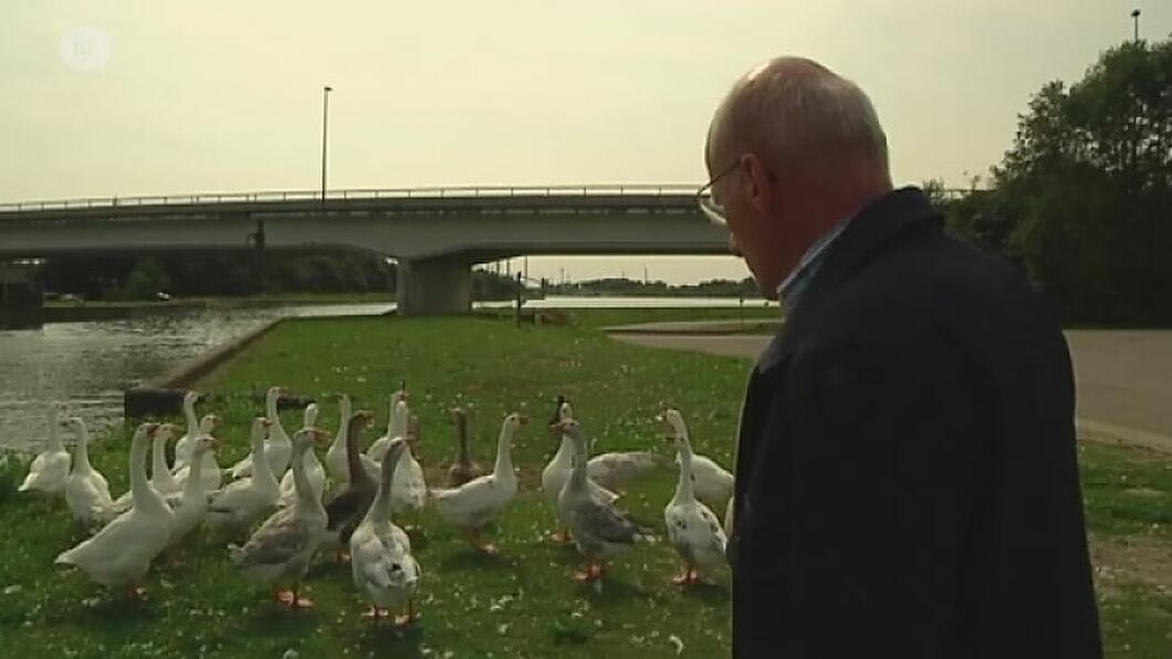 Dirk De Vis: de spraakmakendste uitspraken moeten nog komen - TV Limburg